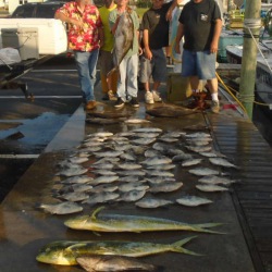 Charter Fishing at Hatteras Harbor